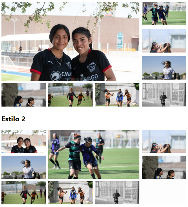 CSS grid para galerías de fotos HTML